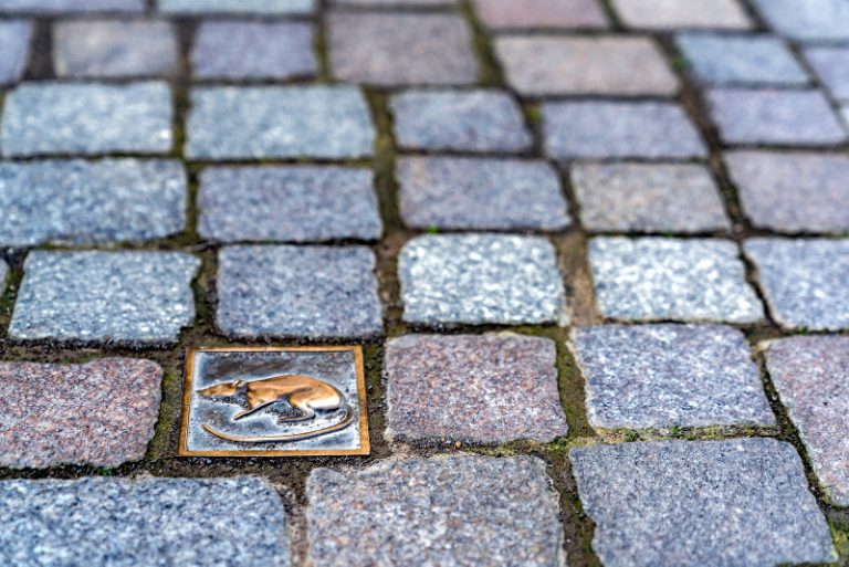 Things To Do In Hameln [Full Guide] - Germany Footsteps