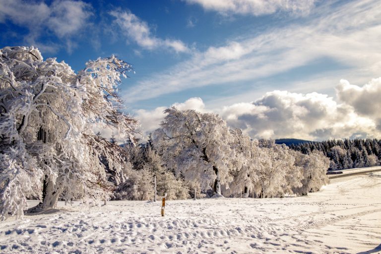 Top 19 Things To Do In Freiburg Im Breisgau [Don't Miss Them ...