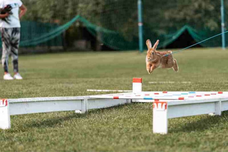 Do You Know Any Of These Weird Facts About Germany? 😱 - Germany Footsteps