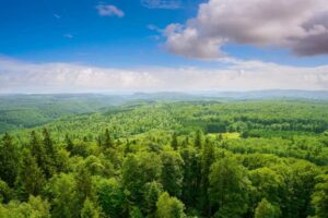 Most Beautiful, Amazing And Incredible National Parks In Germany That ...