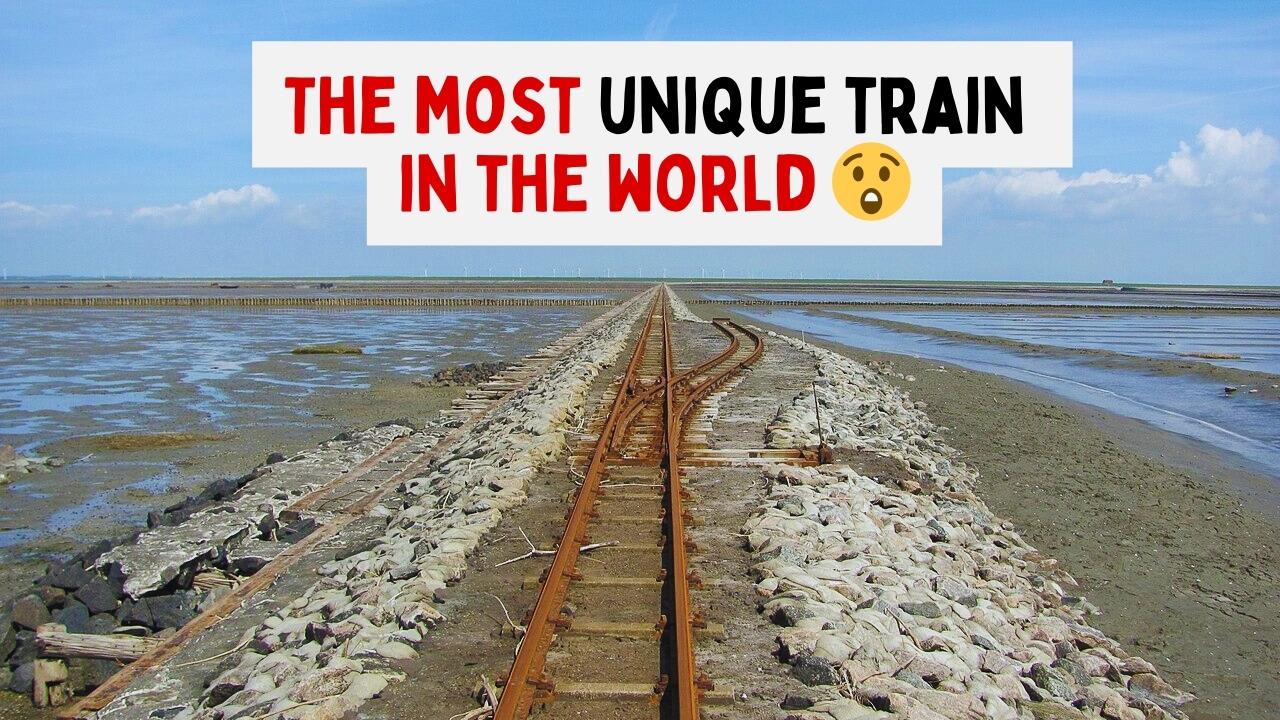 The Most Unique Train In The World. You Have To See It Here! - Germany ...